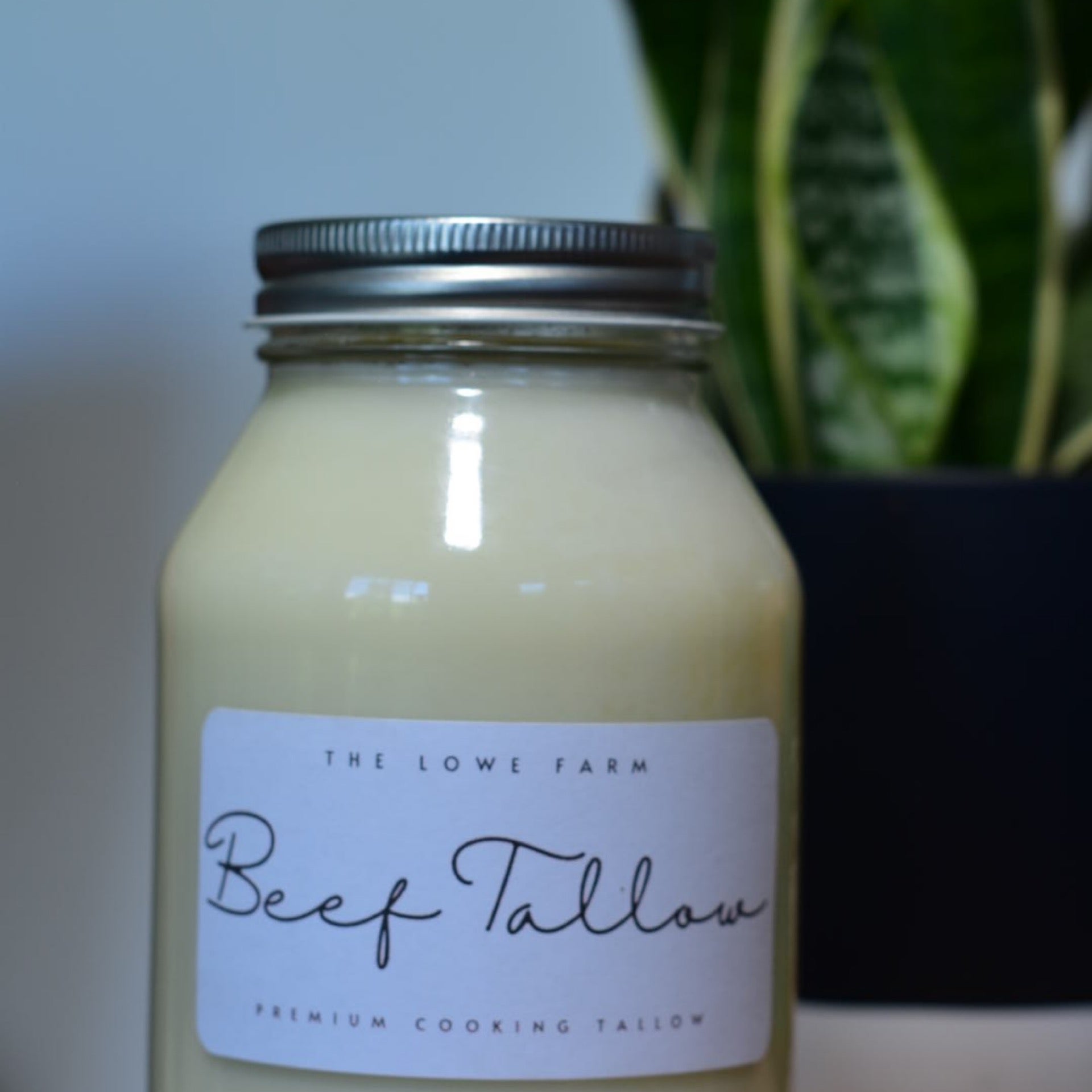 Beef Tallow (32oz) | The Lowe Farm